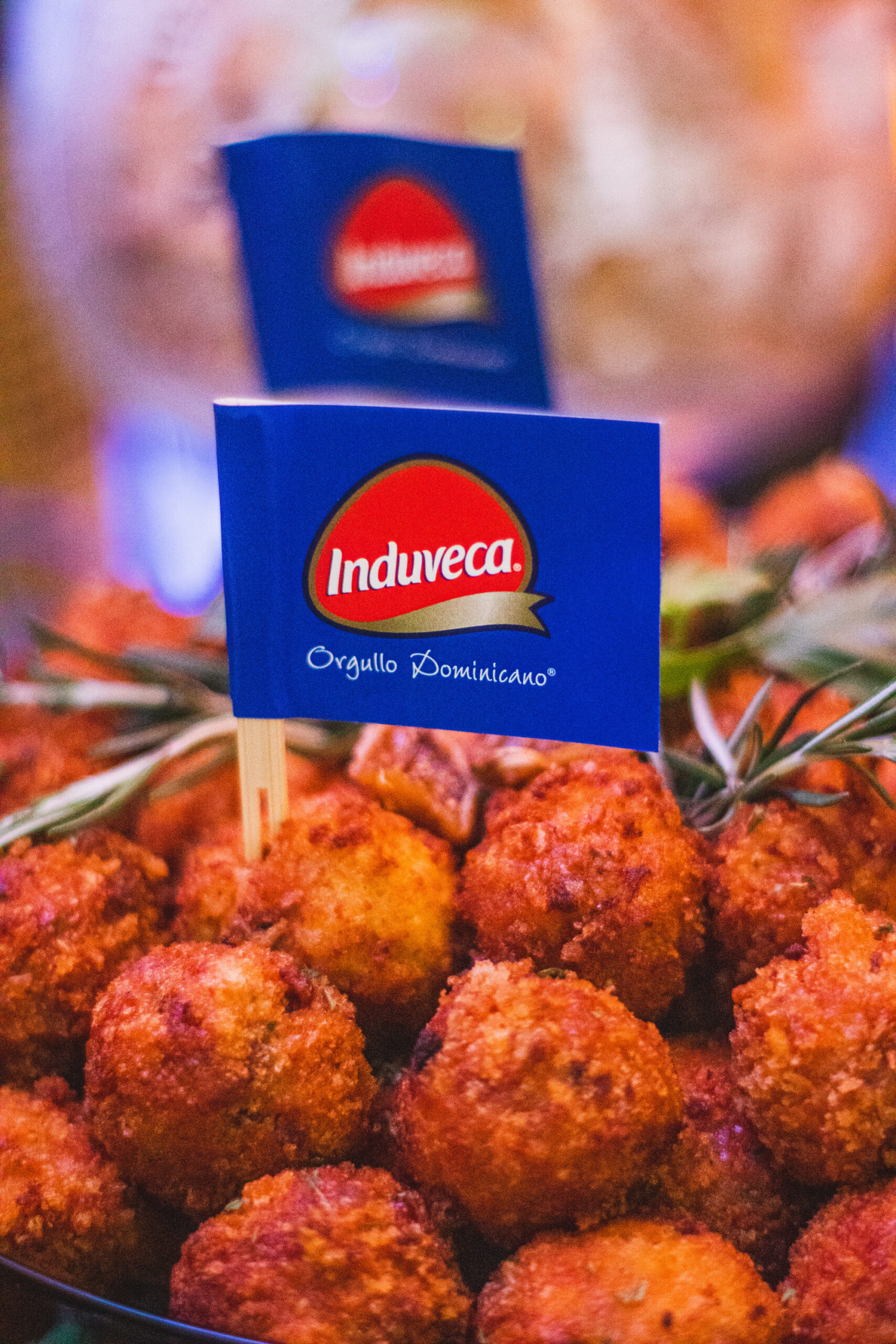 Induveca dice presente en Carnaval Vegano 2023 - GRUPO SID