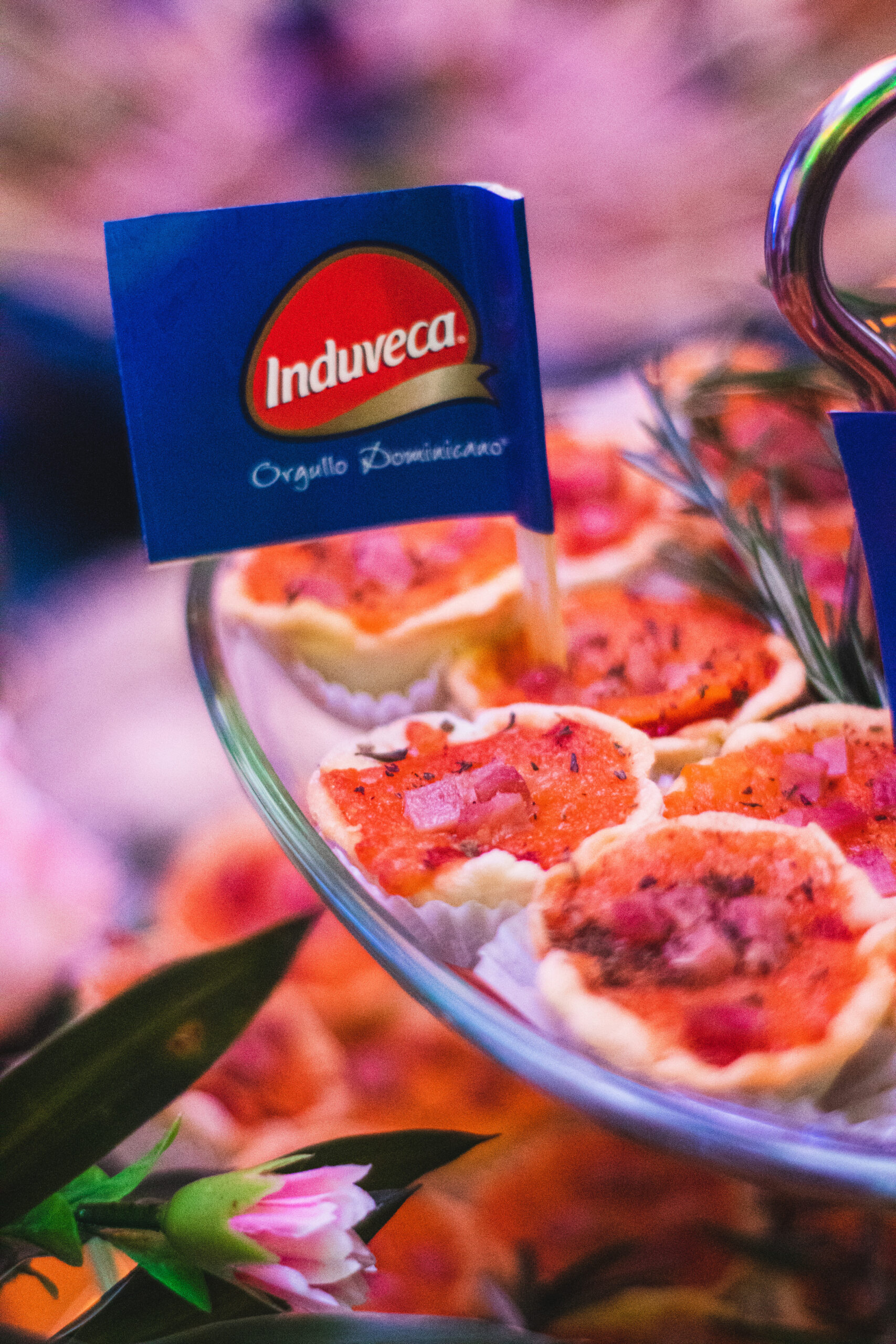 Induveca dice presente en Carnaval Vegano 2023 - GRUPO SID