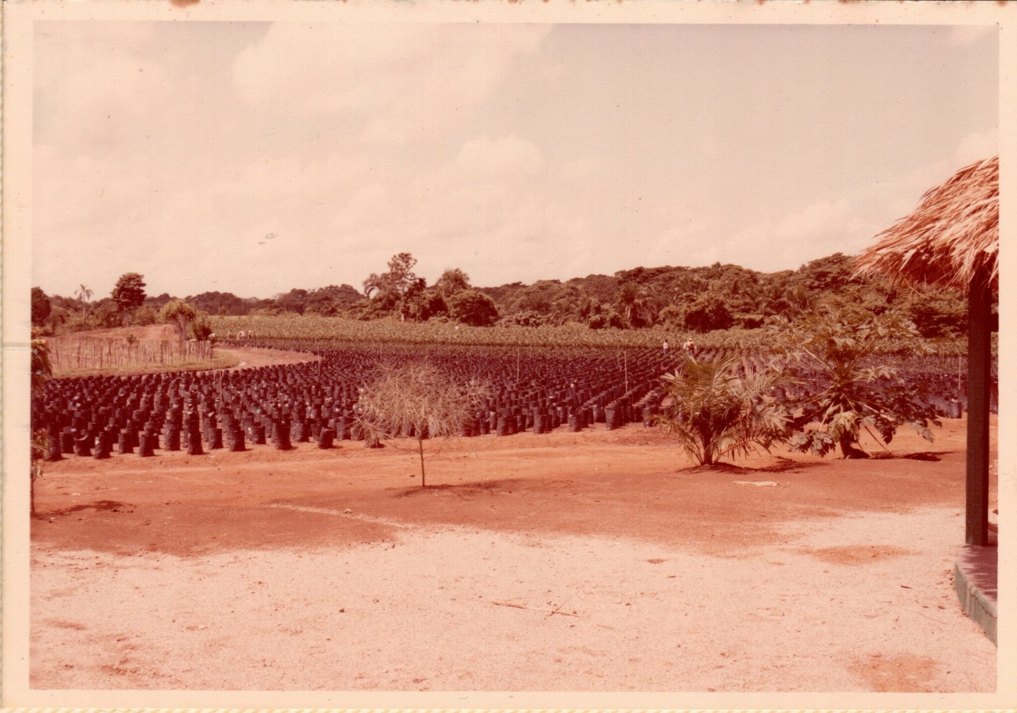 Nuestra trayectoria - GRUPO SID